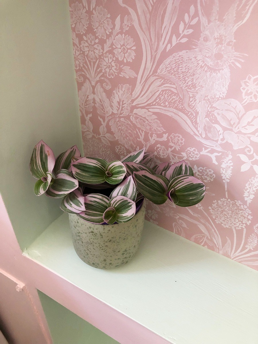 Whimsical Pink and Green Laundry Room, Hitchin - BELLE decorating, Shefford